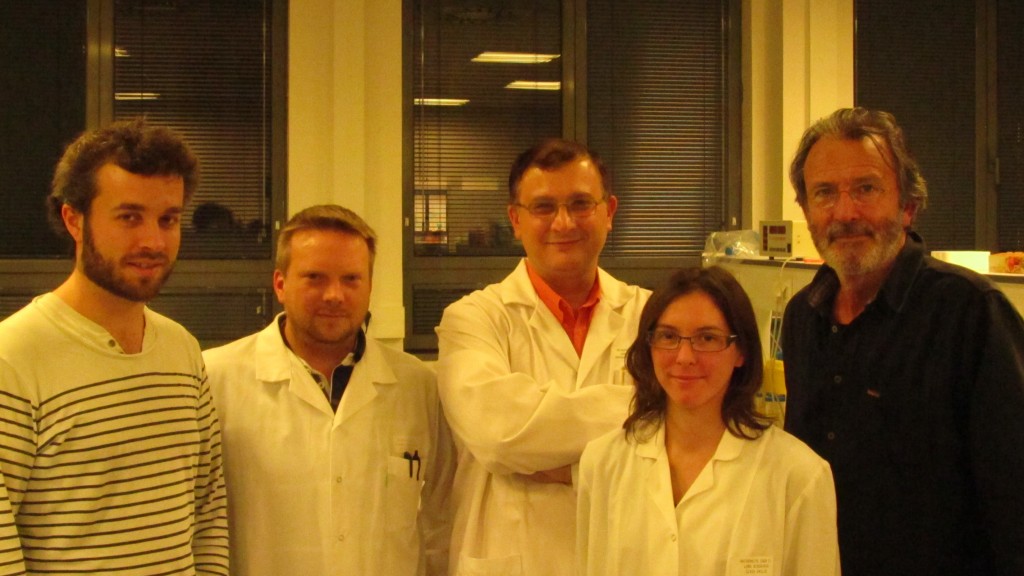 End double standards in evaluating GMO safety studies – say scientists ...